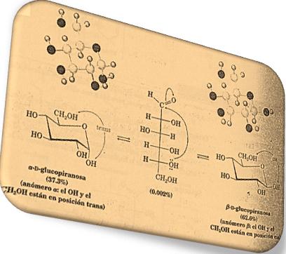 CARBOHIDRATOS: ANÓMEROS DE MONOSACÁRIDOS: MUTARROTACIÓN