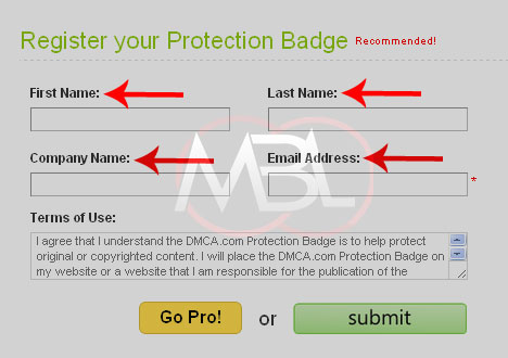 Protect Your Entire Blog With DMCA Protection Badges ~ My Blogger Lab