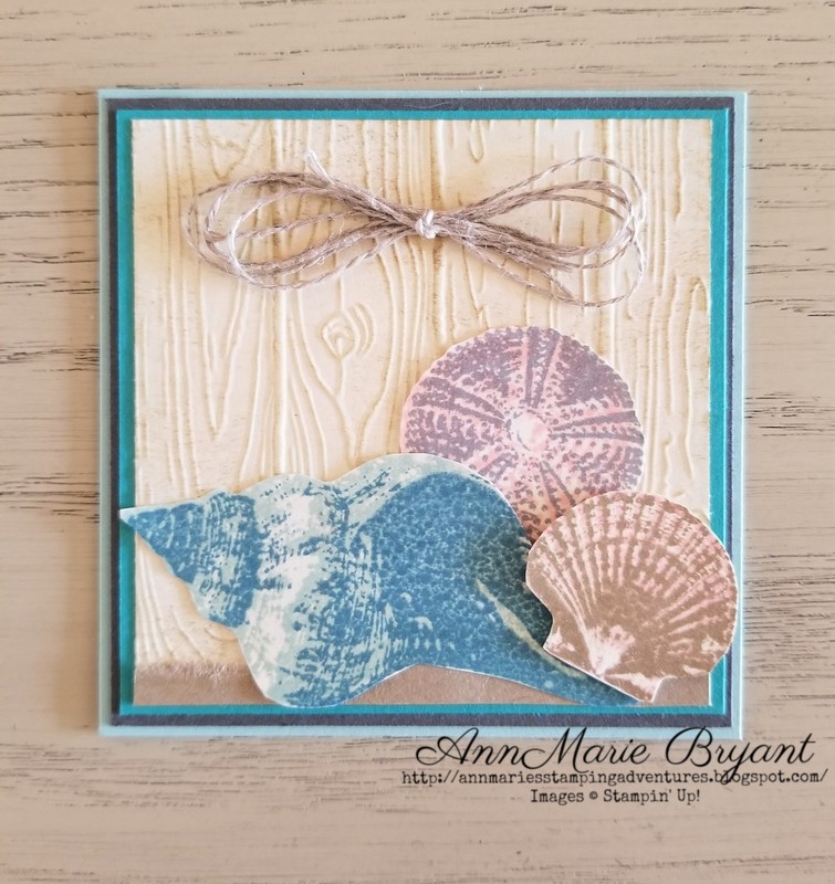 AnnMarie's Stamping Adventures!!: Beach Sampler