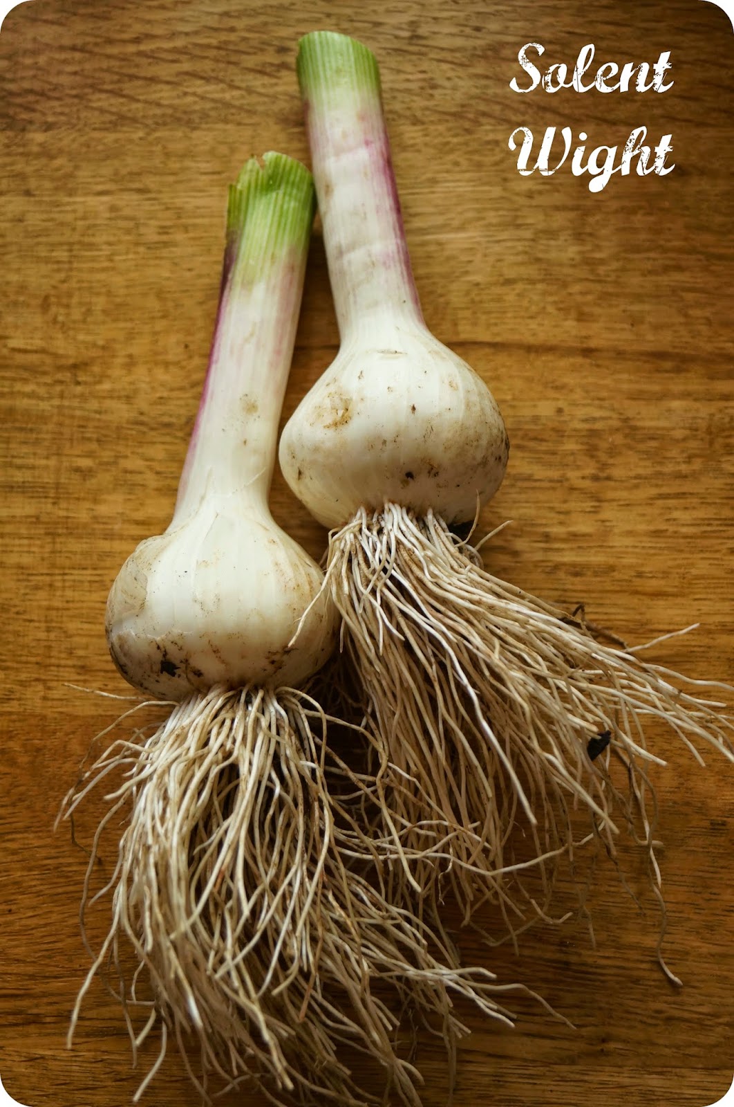 Grow Our Own ~ an ecotherapy blog: Harvest Time - yay!