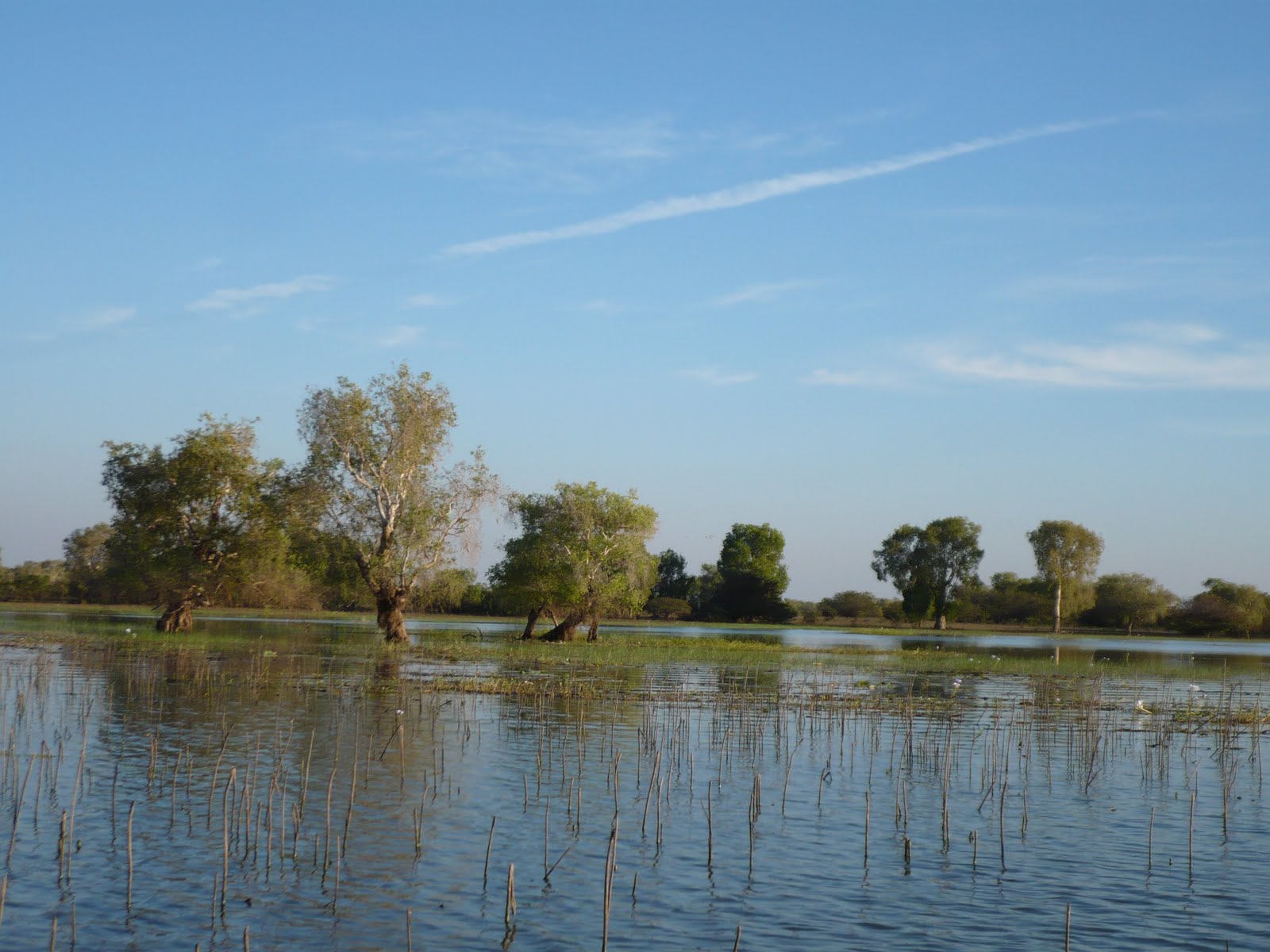 Cliff Down Under: Tales of of the Territory: volume 1 - Kakadu is not a ...