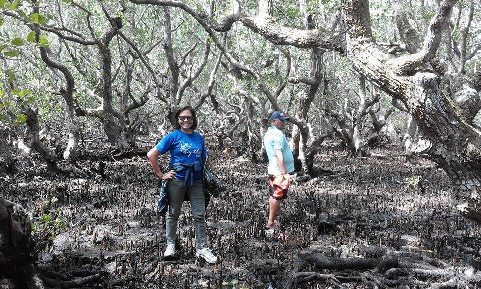 Mangroves: MANGROVES IN BACOLOD, LANAO DEL NORTE, PHILIPPINES