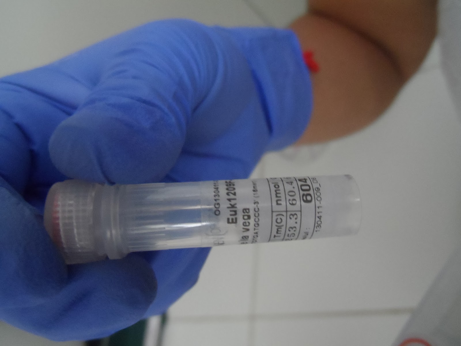 ecotoxicologia-bioensayos: PCR para hongos