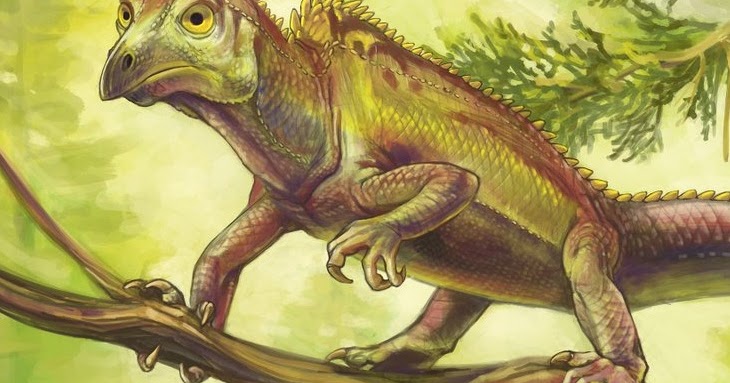 Species New to Science: [Paleontology • 2017] Avicranium renestoi • A ...