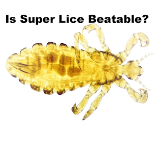 Head Lice Information