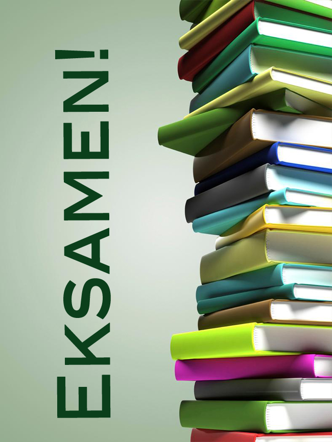 Sabrina Geist: Eksamen