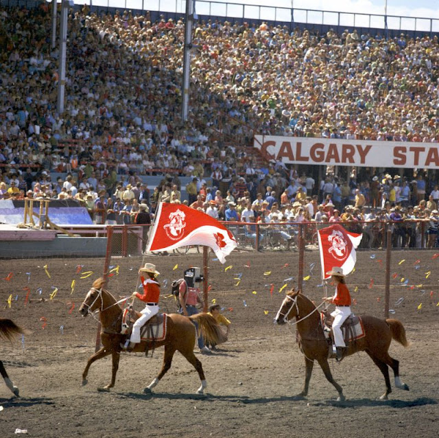 The Calgary Stampede: One of the Largest Outdoor Rodeos in the World ...
