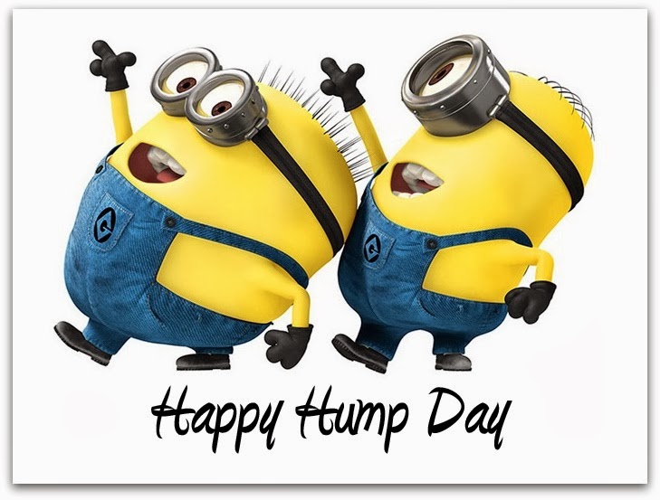 The Dixie Diaries: Happy Hump Day!