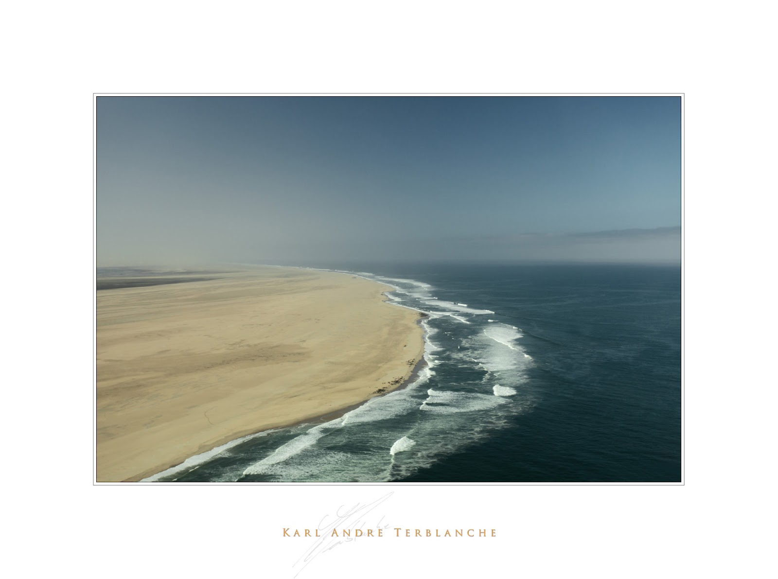 West Africa Cetaceans