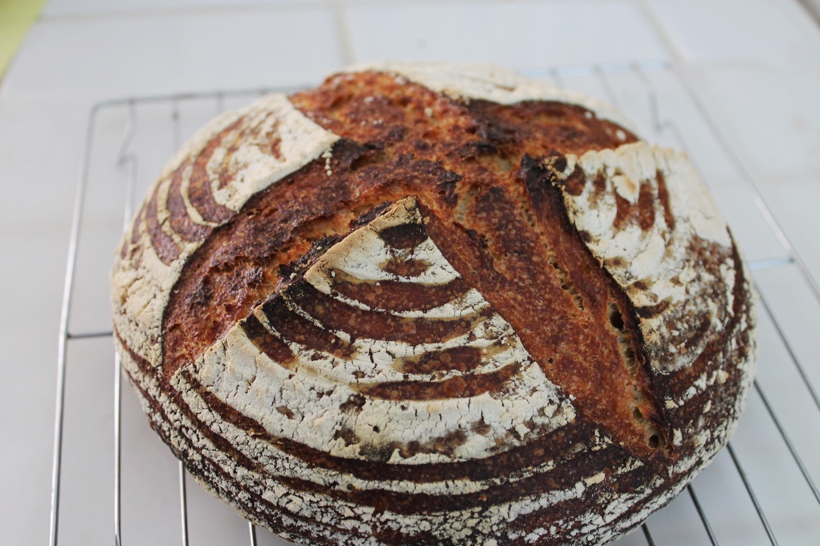 Fragments of Sulpicia (III): 85% Durum Bread