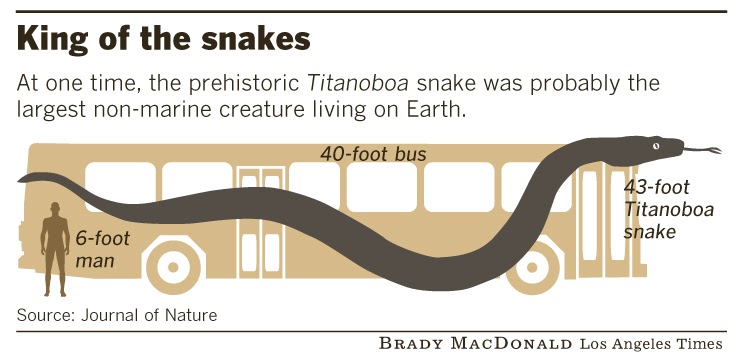 From the Sorcerer's Skull: Snake, Giant Constrictor