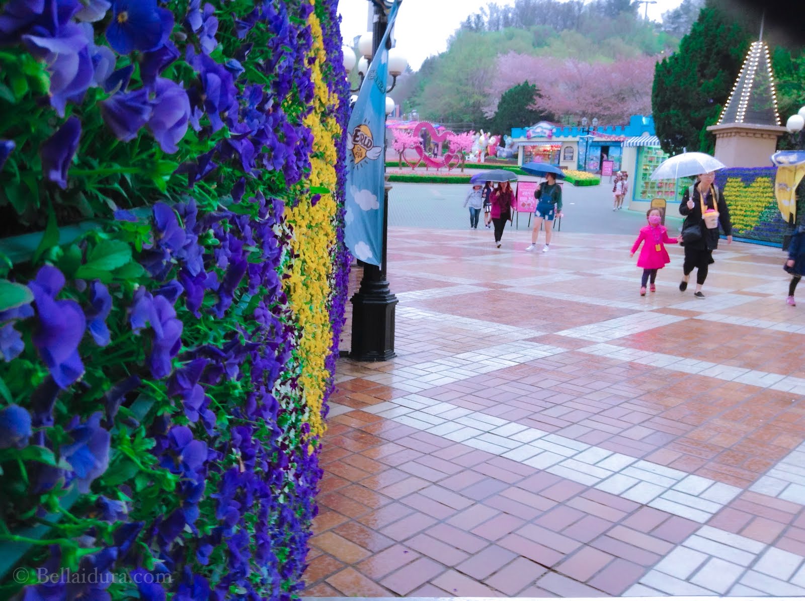 Apa Yang Menarik Di E-WORLD DAEGU SOUTH KOREA - Bella Idura