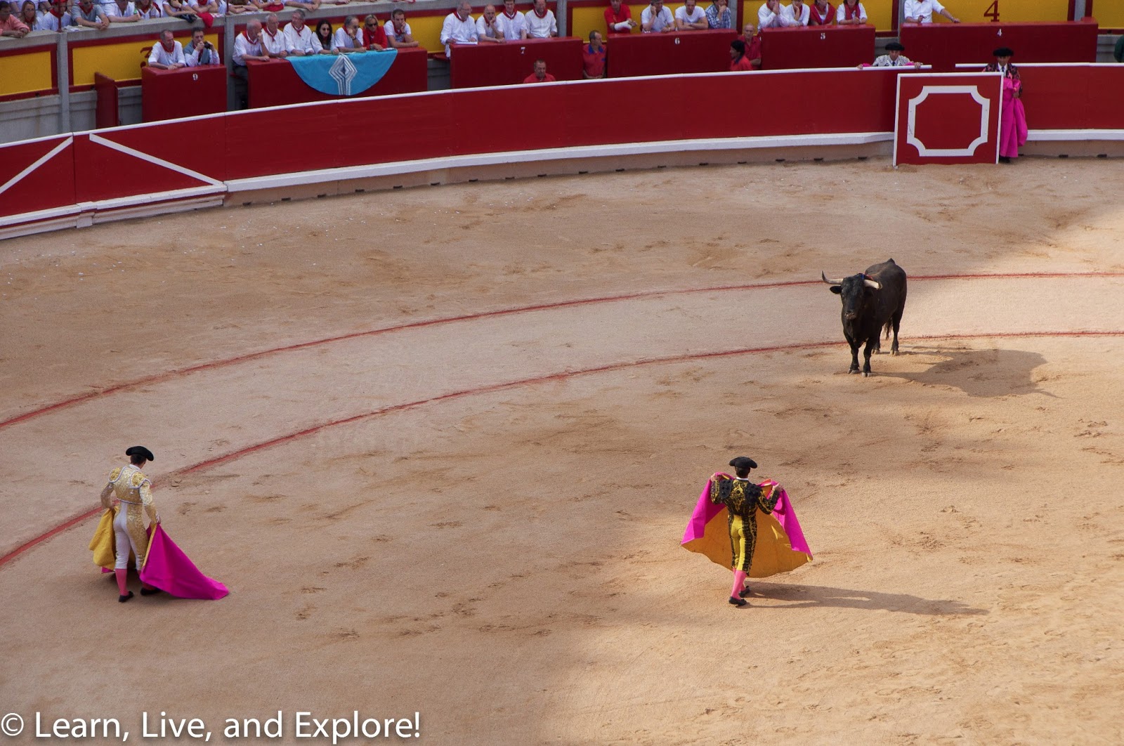 A Pamplona Running of the Bulls Experience...in comfort ~ Learn, Live ...