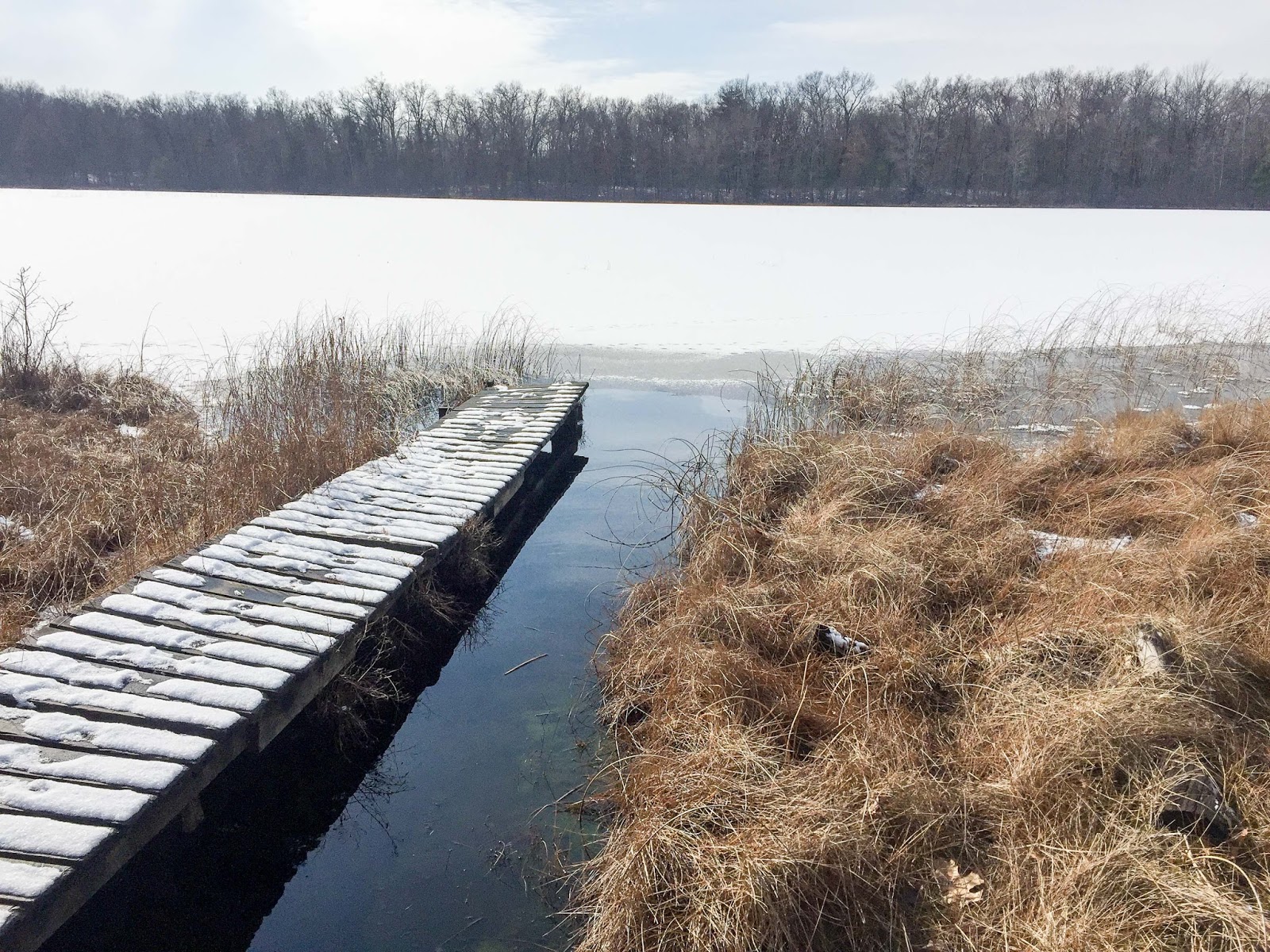 Eric's Hikes: North Country Trail between Middleville and Barry State ...