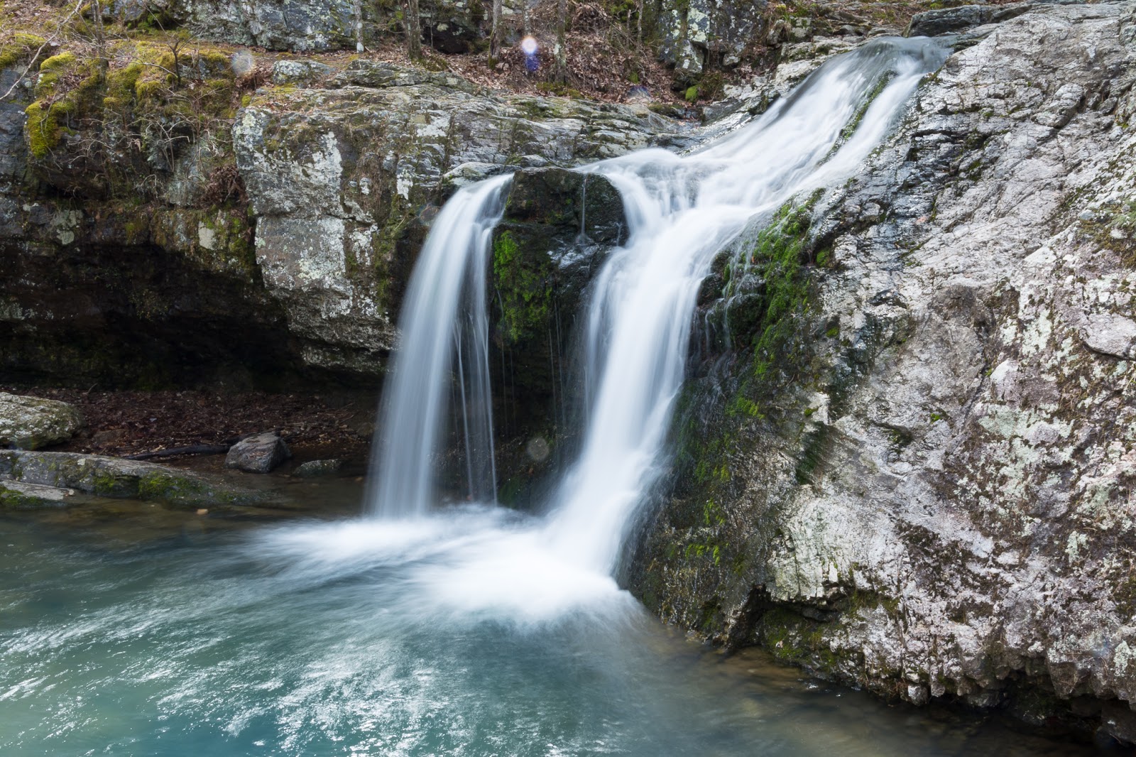 A Tree Falling: Lake Catherine State Park