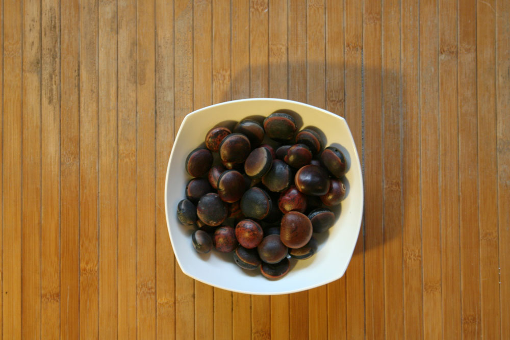 The Rainforest Garden: Sea Beans and Drift Seeds