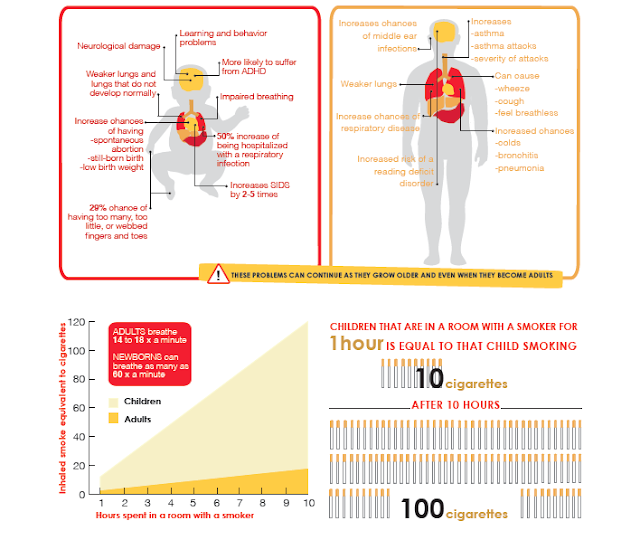 Chelsea Nash George: EFFECTS OF SECOND HAND SMOKE ON CHILDREN (info ...