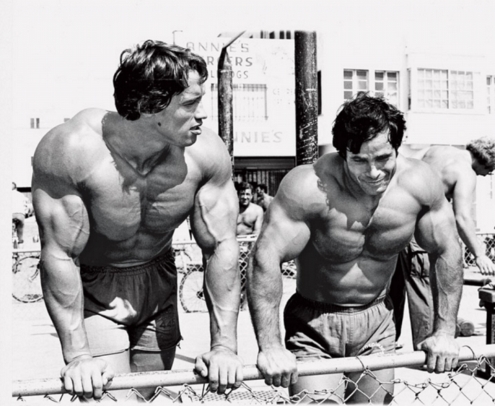 Personal Trainer, Partner, or Simply Having an Audience - Three Ways of ...