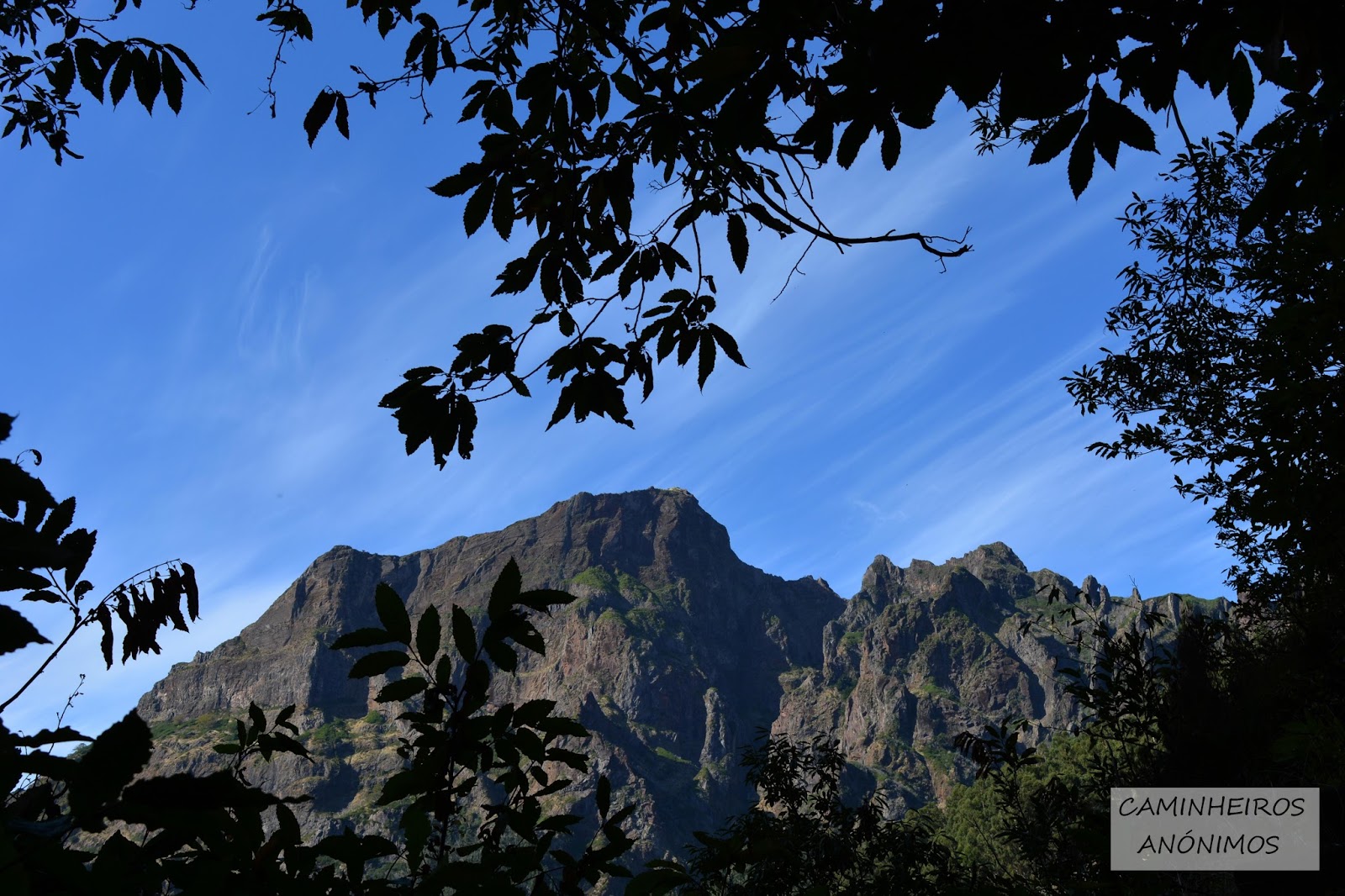 Caminheiros Anónimos Levadas da Madeira : Levada do Pico Furão (Curral ...