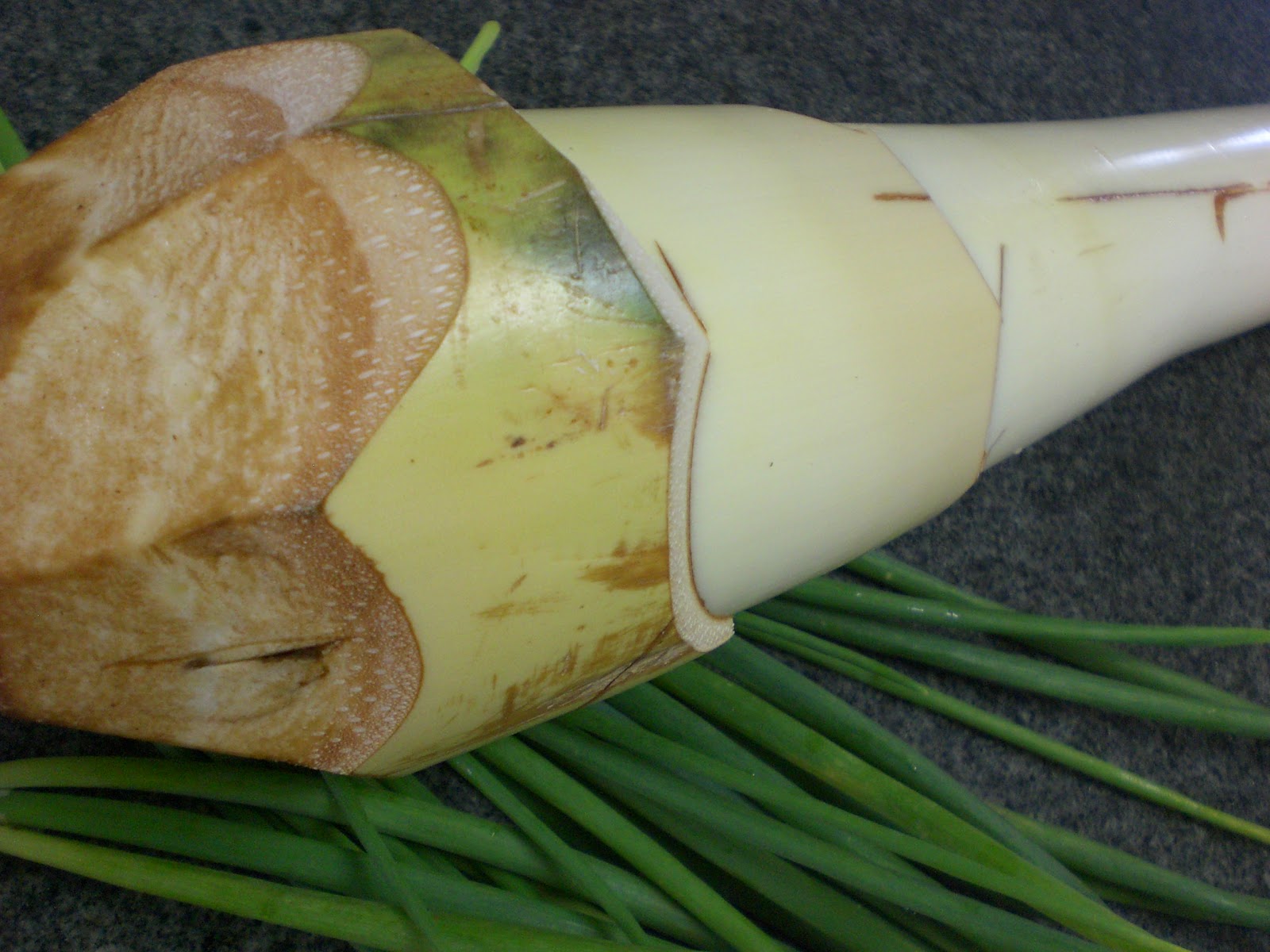 Maria Cecília Candelore: GUARIROBA