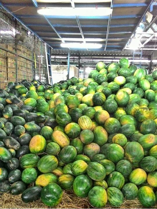 PANCA USAHA TANI dan SAPTA USAHA TANI