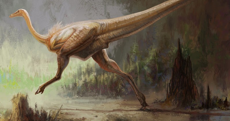Extinct Animal of the Week: Running Gallimimus
