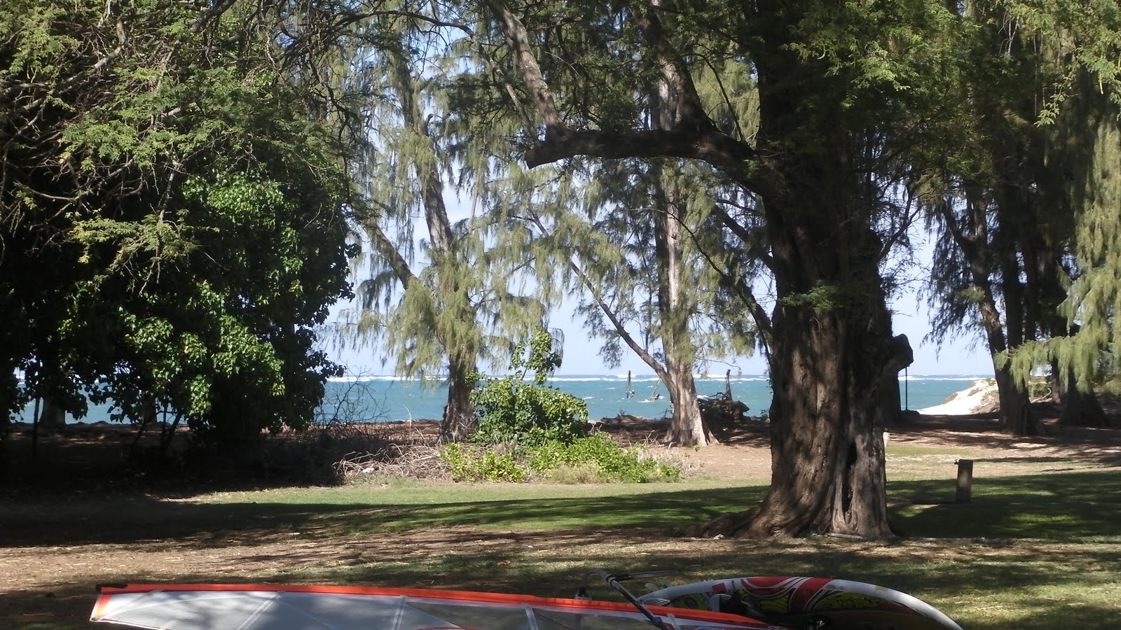 WaterTurtle: Hello Maui, Goodbye Maui