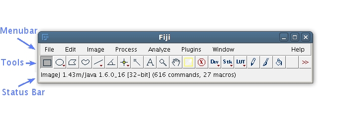 Imagej Fiji ImageJ Tutorial 1 / FIJIインストール YouTube