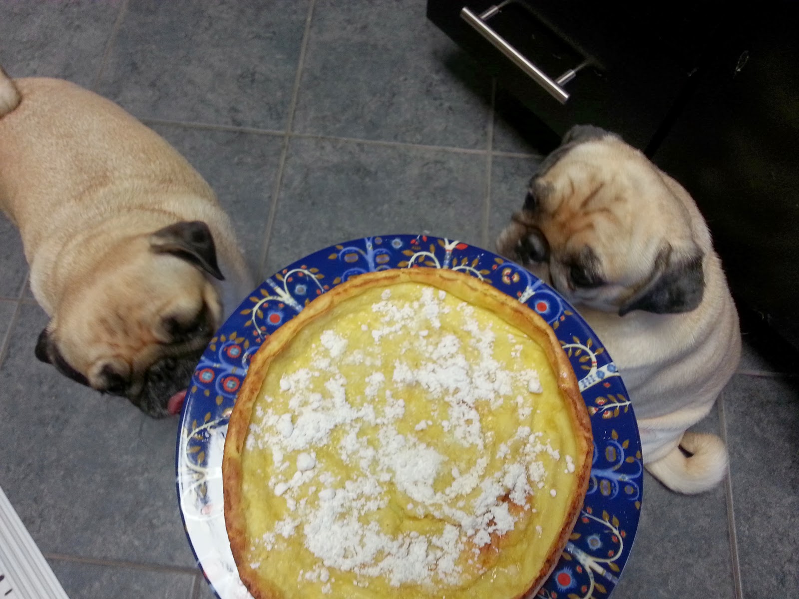 Grubbin' Pugs: Ginormous Pancake aka Dutch Baby Pancake