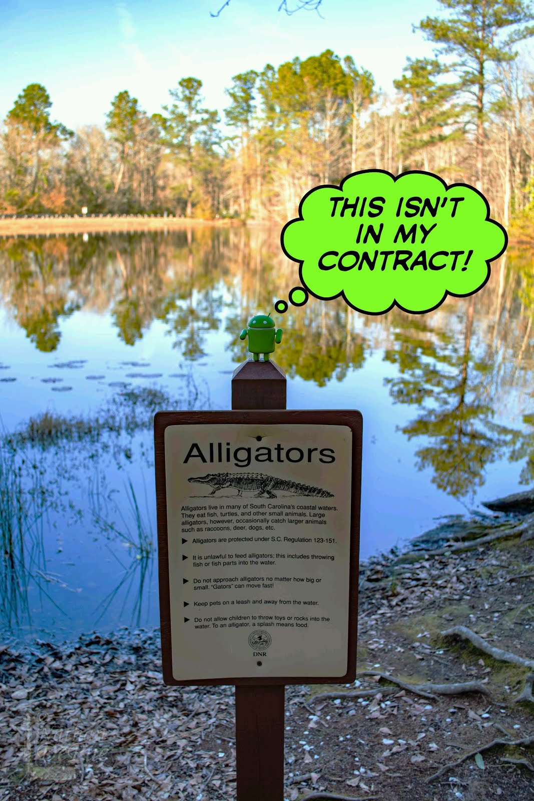 Tech and Nature: Lake Warren State Park