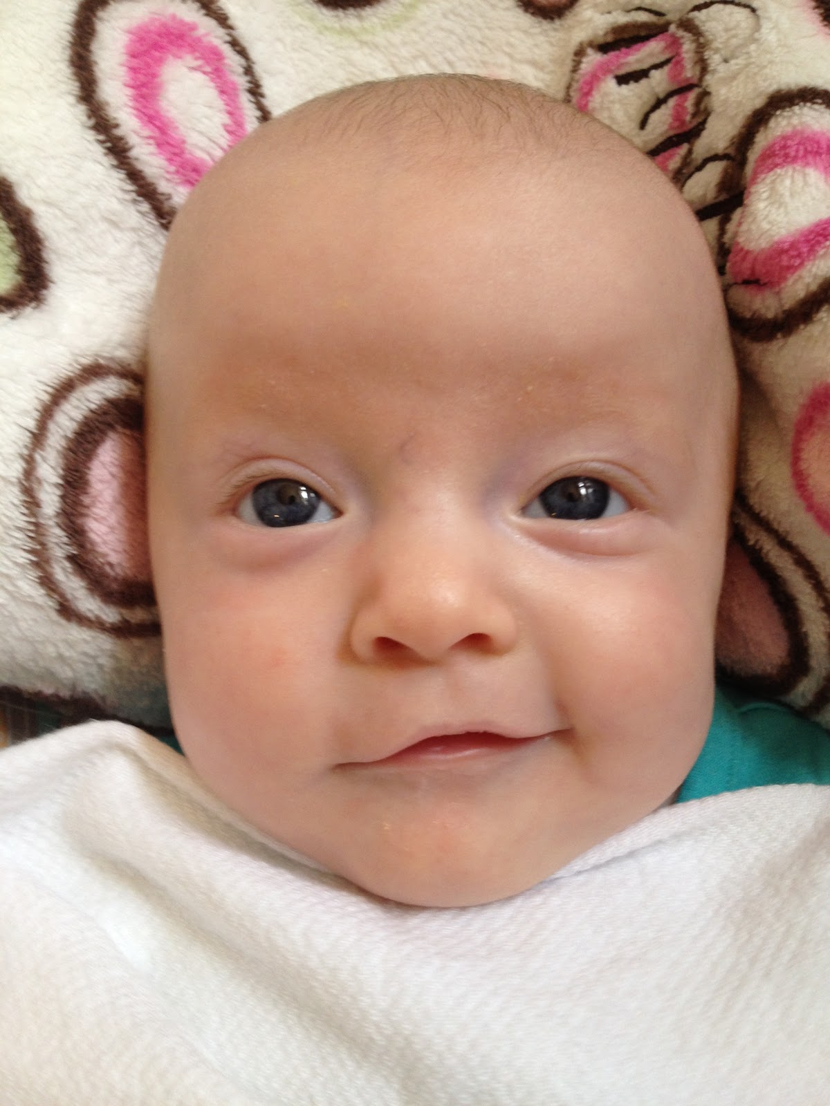 The Pair of Scates: Austin First Steps, plus My Last Week of Freedom!