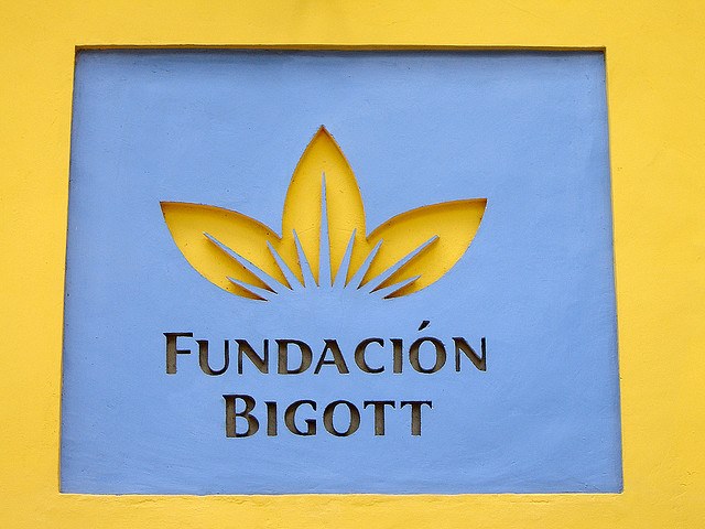 FUNDACION BIGOTT: HISTORIA DE LA FUNDACIÓN BIGOTT