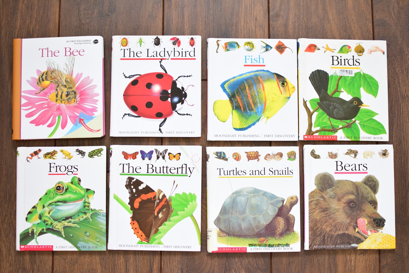 Introducing Life Cycles to Younger Kids | The Pinay Homeschooler