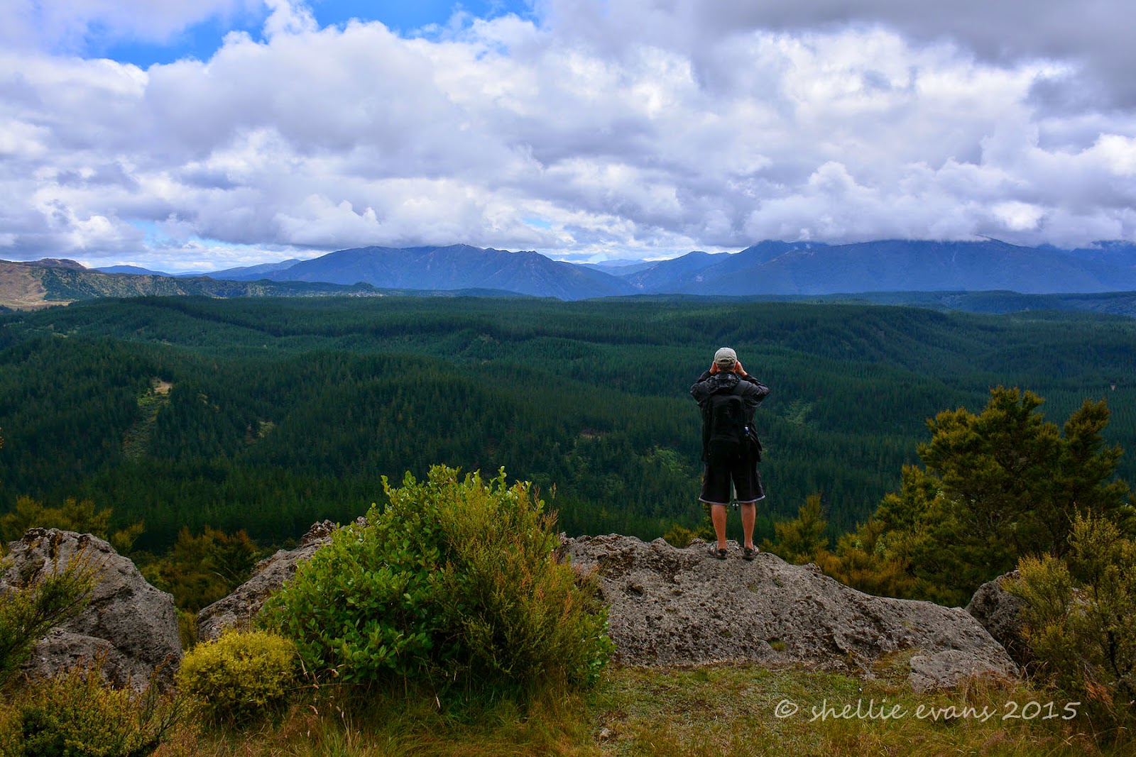 Two Go Tiki Touring: Blowhard Bush & a Tomtit