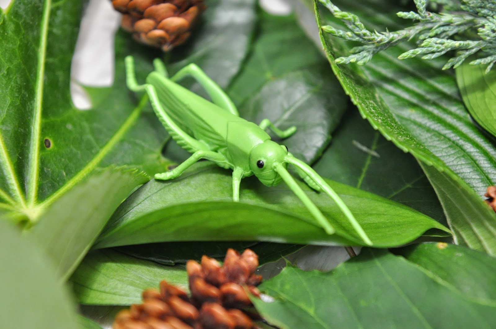 Creative Projects for Kids: Insects in Leaves and Grass Sensory Bin