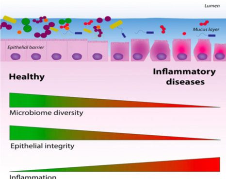 The H.A.T.S. of Our Microbiome