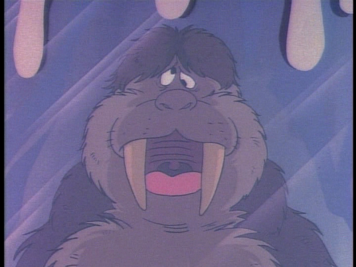 Erin's Blog: The Woolly Walrus