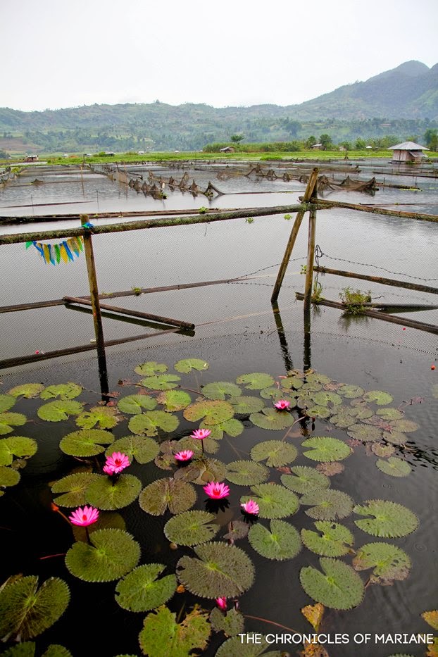 Lakes of Lake Sebu: Lake Sebu, Lake Seloton, Lake Lahit | The ...