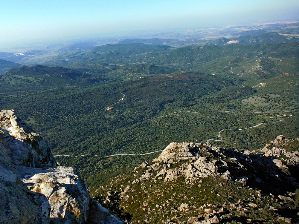 8x42: Subida al Picacho