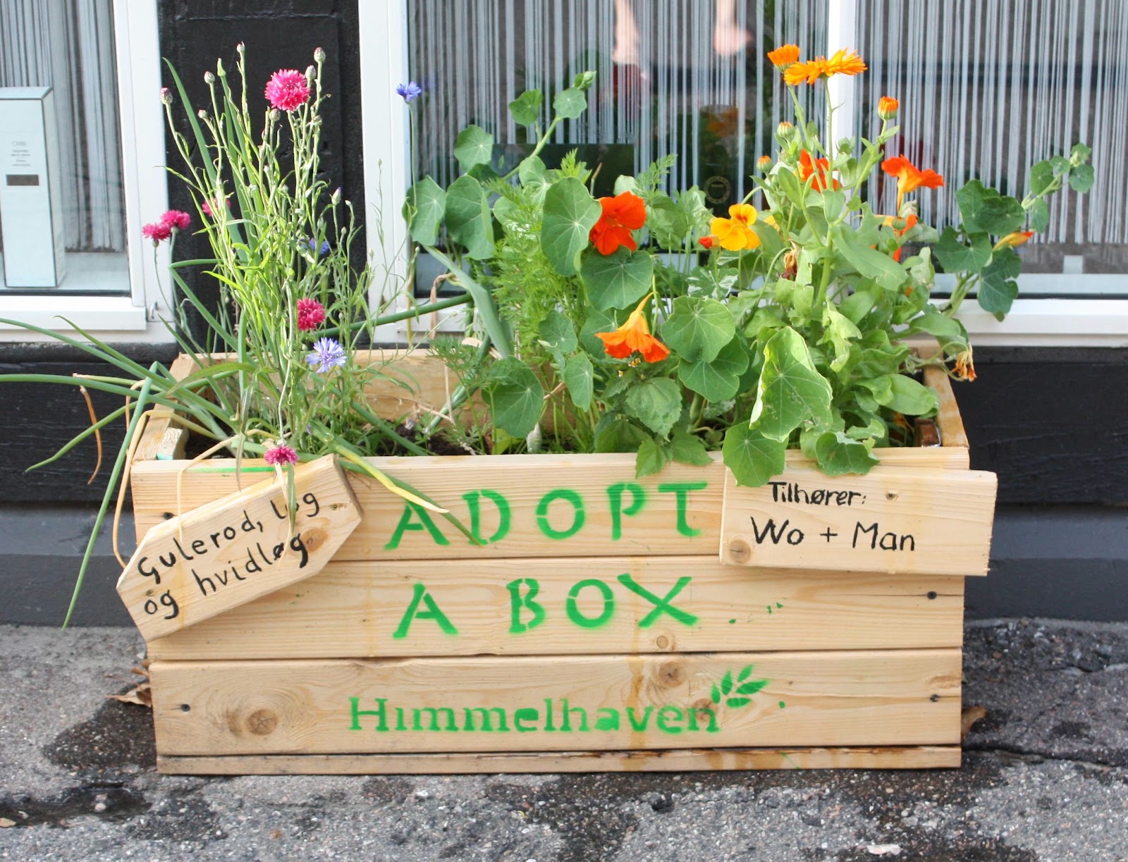 Adopt-A-Box: What is Adopt-A-Box?