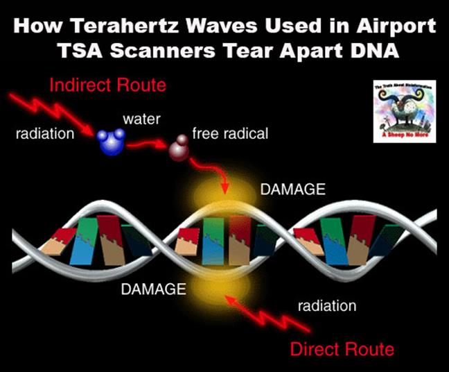 MessiahMews Blogs: How Terahertz Waves Used in Airport Scanners Tear ...