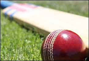 World Sports Picture: Cricket Bat and Bowl