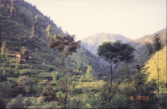 Besham pakistan ~ Pakistani Tourism