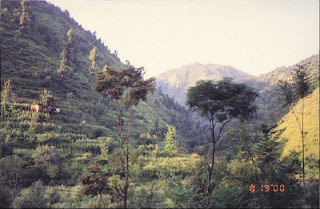 Besham pakistan ~ Pakistani Tourism