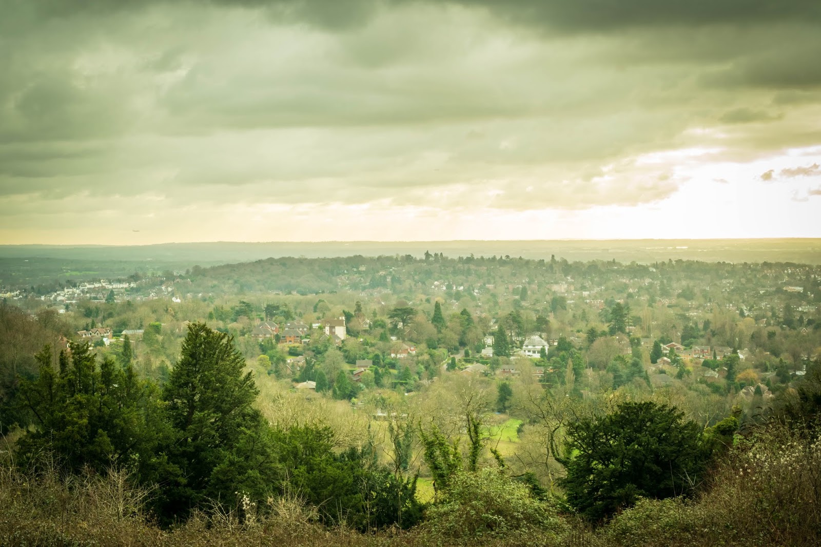 Enjoy your time with beautiful places: Reigate Hill Walk