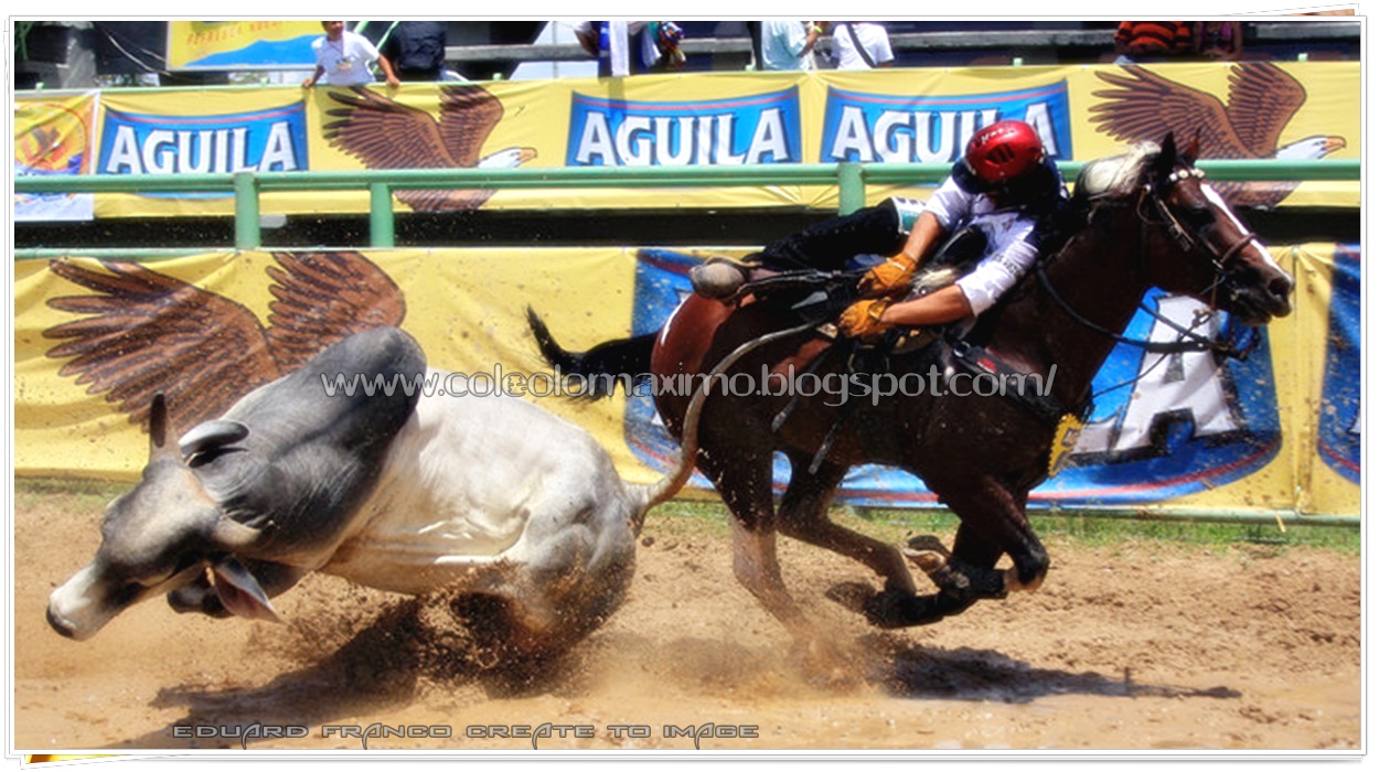 Coleo