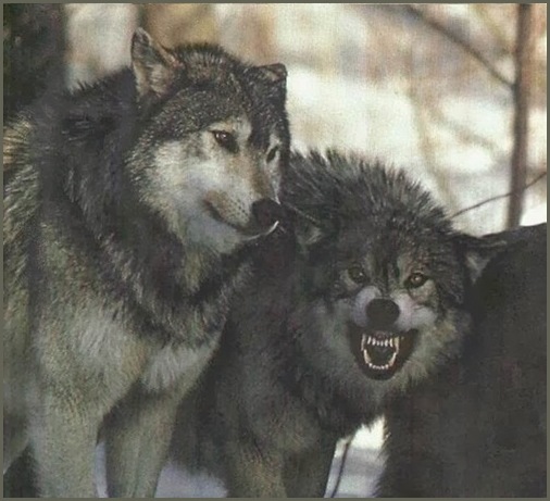 Meu mundo e nada mais ...: ... Luta Interior ...