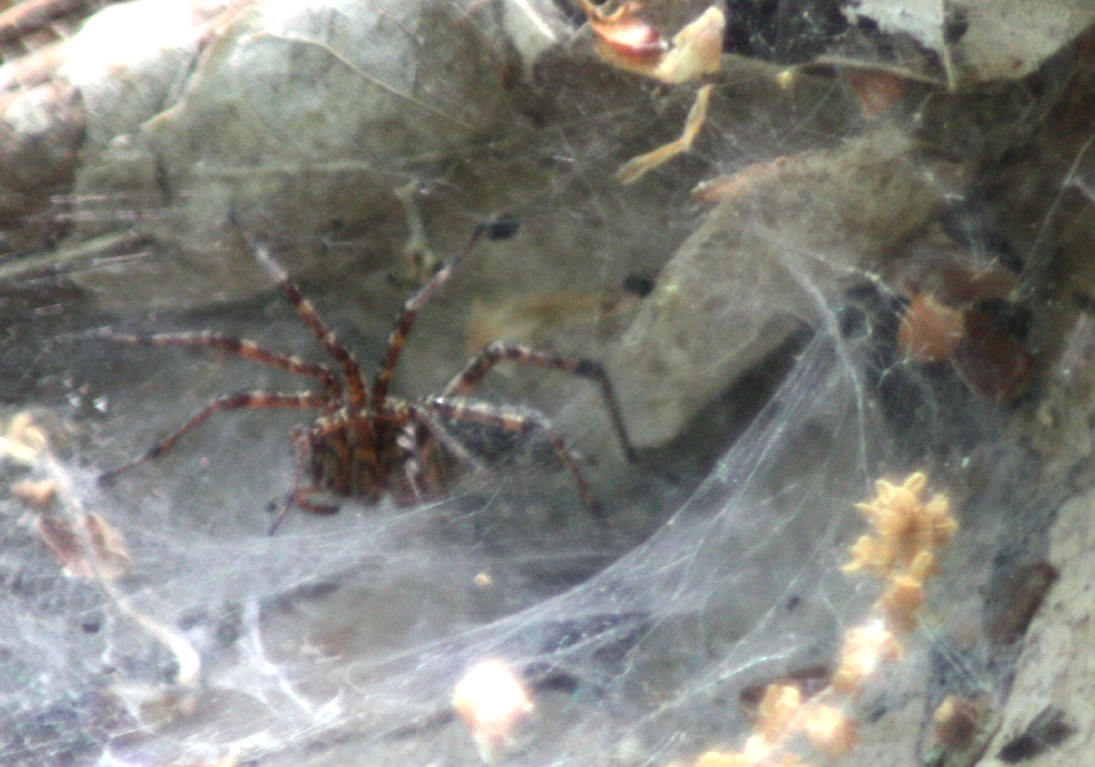 Shooting Down the Middle of the Road: Just a few last things from ...