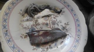 KADAMBA / KANAVA MASALA /SQUID FISH CURRY