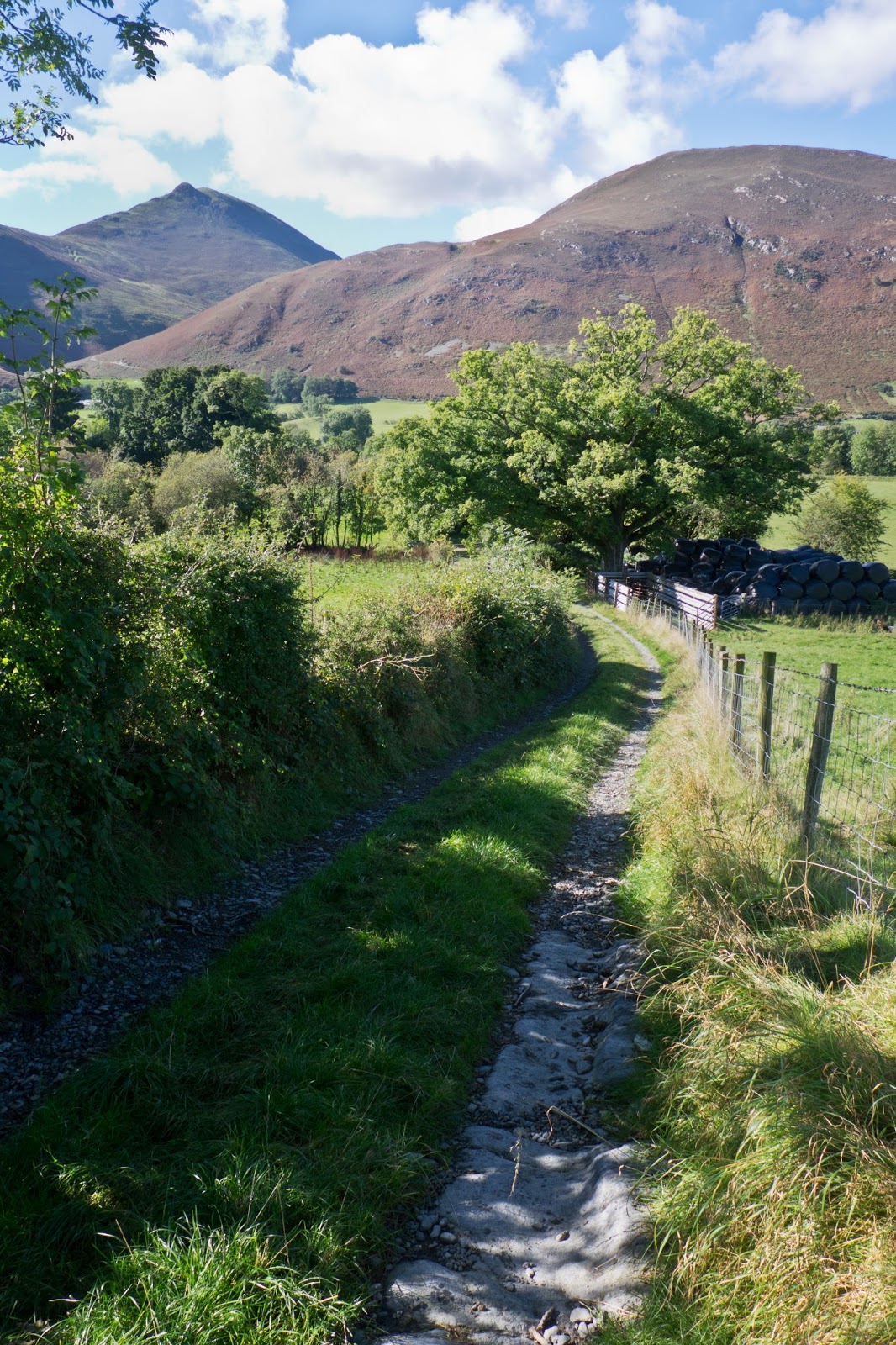 Wigtwizzle - Norman Smith's Travel Blog.: Newlands Valley and a pint in ...